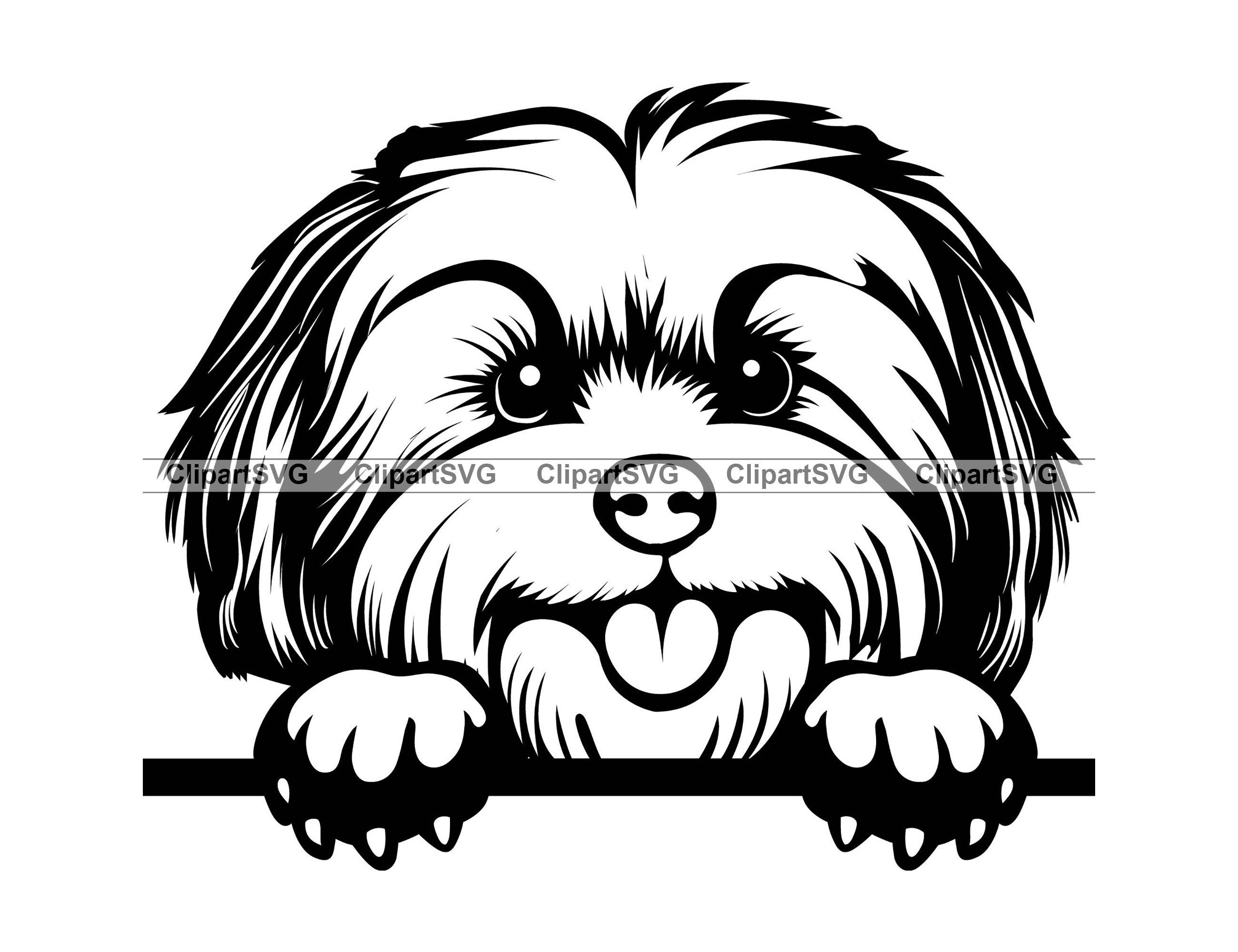 Havanese Smiling Peeking Dog Cute Puppy Face Canine Pet Lhasa - Etsy