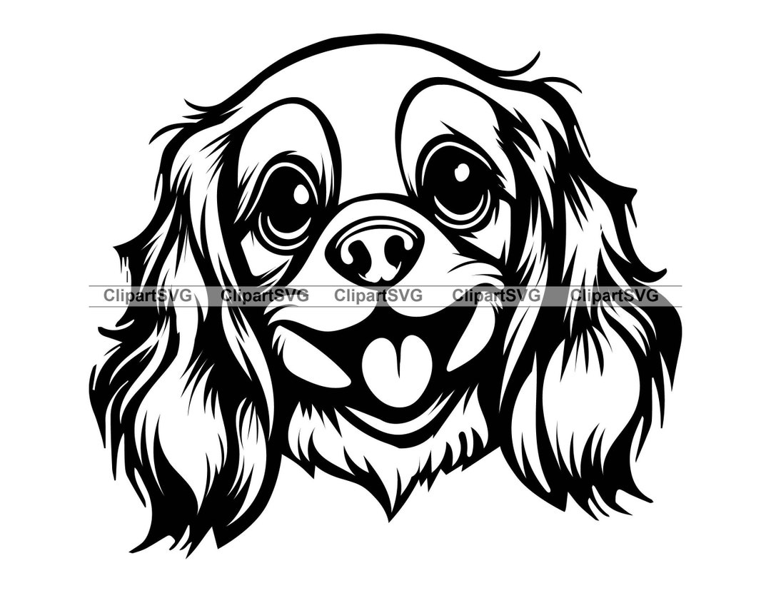 English Cocker Spaniel Smiling Dog Cute Puppy Face Canine Pet Love ...