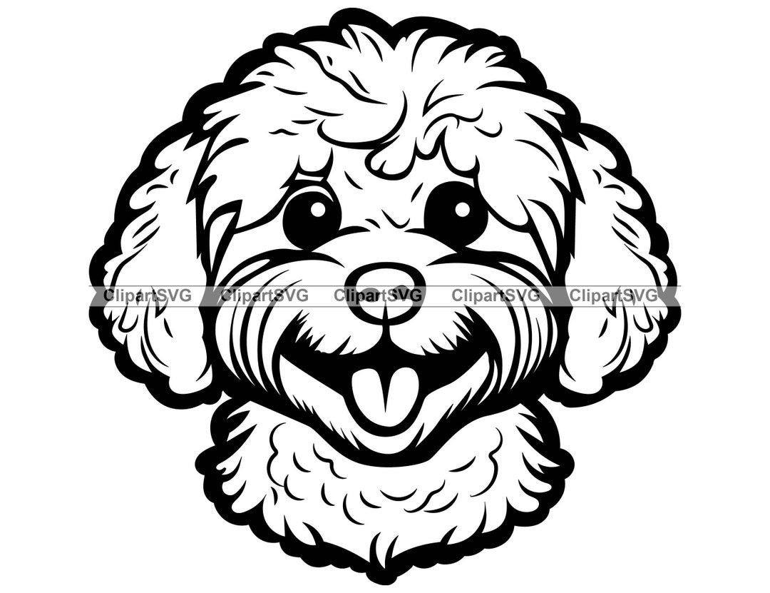 Poochon Smiling Dog Cute Puppy Face Canine Pet Bichon Frise Toy Poodle ...