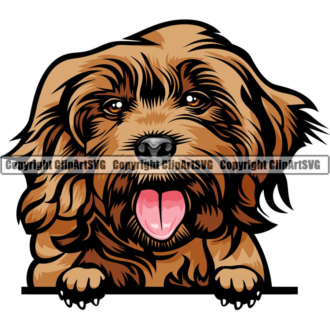 Cockapoo Dog Breed Peeking Peek-a-boo Happy Puppy Pet Color Artwork ...