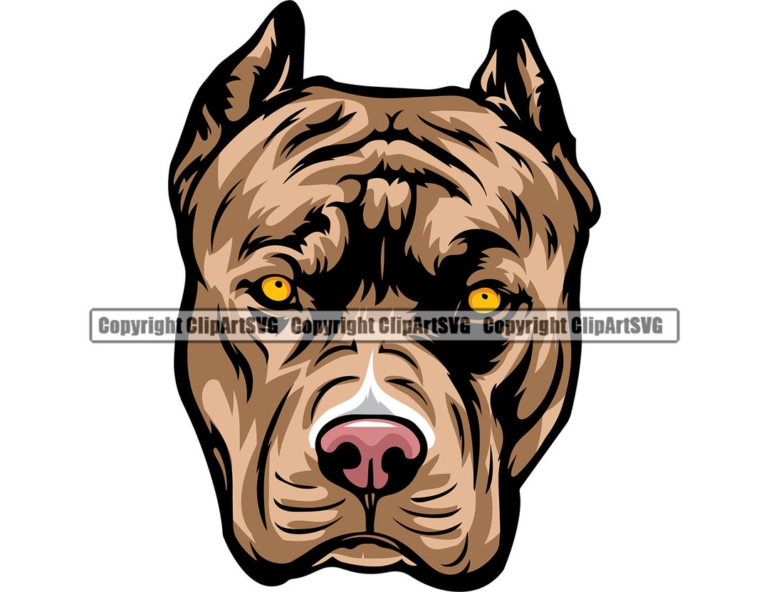 American Pit Bull Head Face Dog Happy Breed Terrier Paw Puppy Pet ...