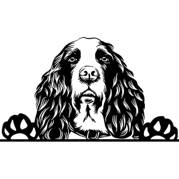 English Springer Spaniel 9 Peeking Dog Pedigree Breed K-9 | Etsy