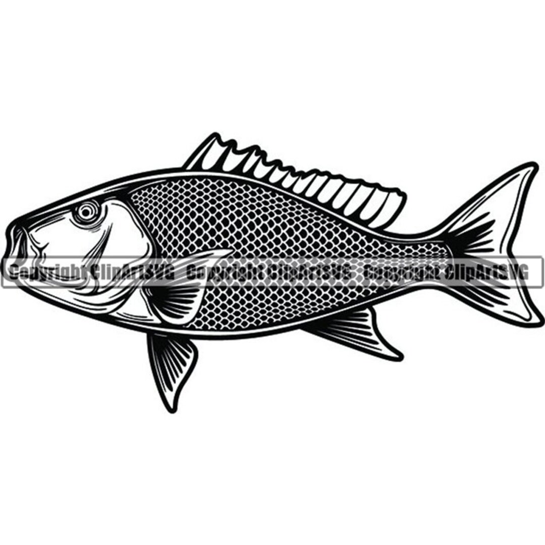 Snapper Fish 1 Mutton Fishing Angling Salt Water Ocean Sea Animal ...
