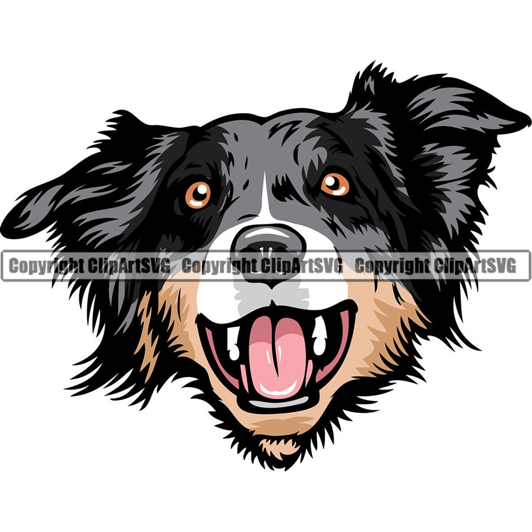 Australian Shepherd Aussie Dog Head Face Smiling Breed Happy Puppy ...