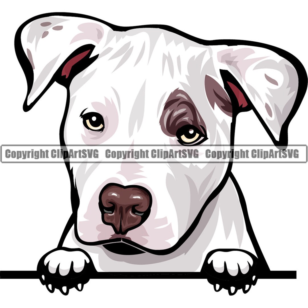 Pit Bull Dog Peeking Peek-a-boo Breed Happy Face Puppy Animal Pet Color ...