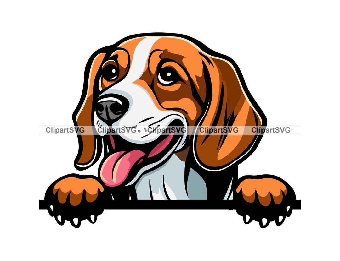 Beagle Smiling Peeking Dog Head Cute Puppy Face Canine Pet Portrait Paw ...