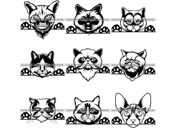 BUNDLE Cat Breeds Peeking Kitten Kitty Feline Pedigree | Etsy