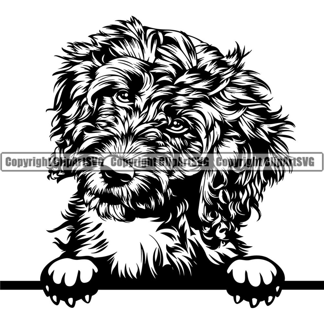 Cockapoo Dog Breed Peeking Peek-a-boo Happy Paw Puppy Pup Pet Cute Art ...