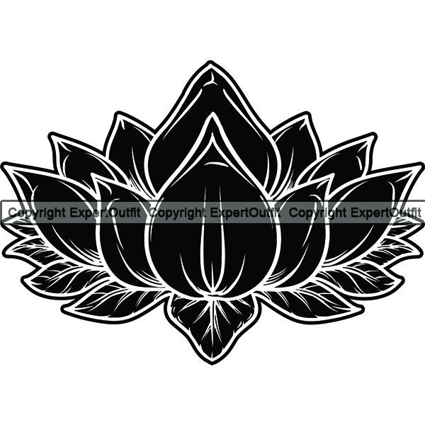 Lotus Flower 5 Nature Garden Floral Blossom Plant Grow Pedal - Etsy