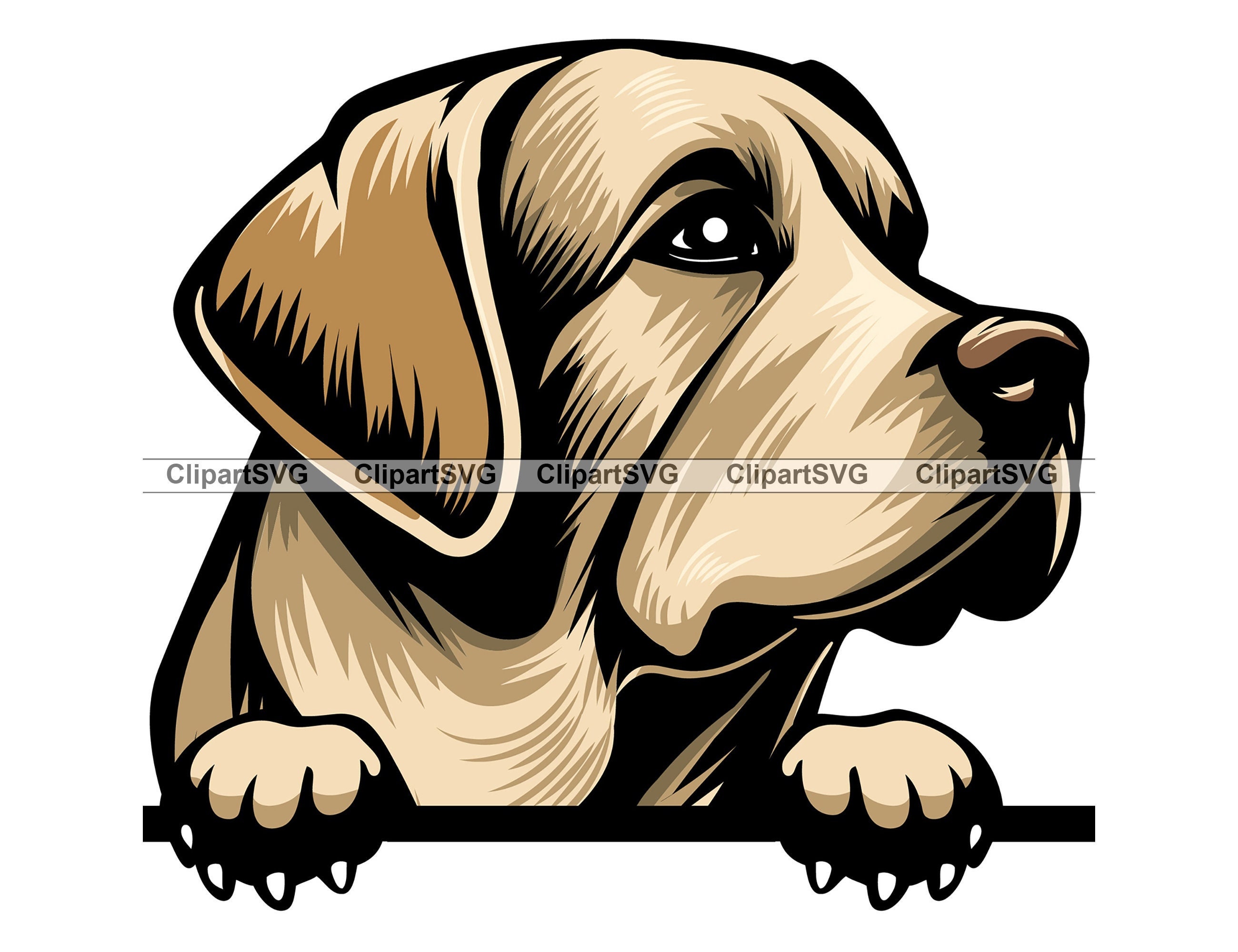Yellow Lab Cartoon