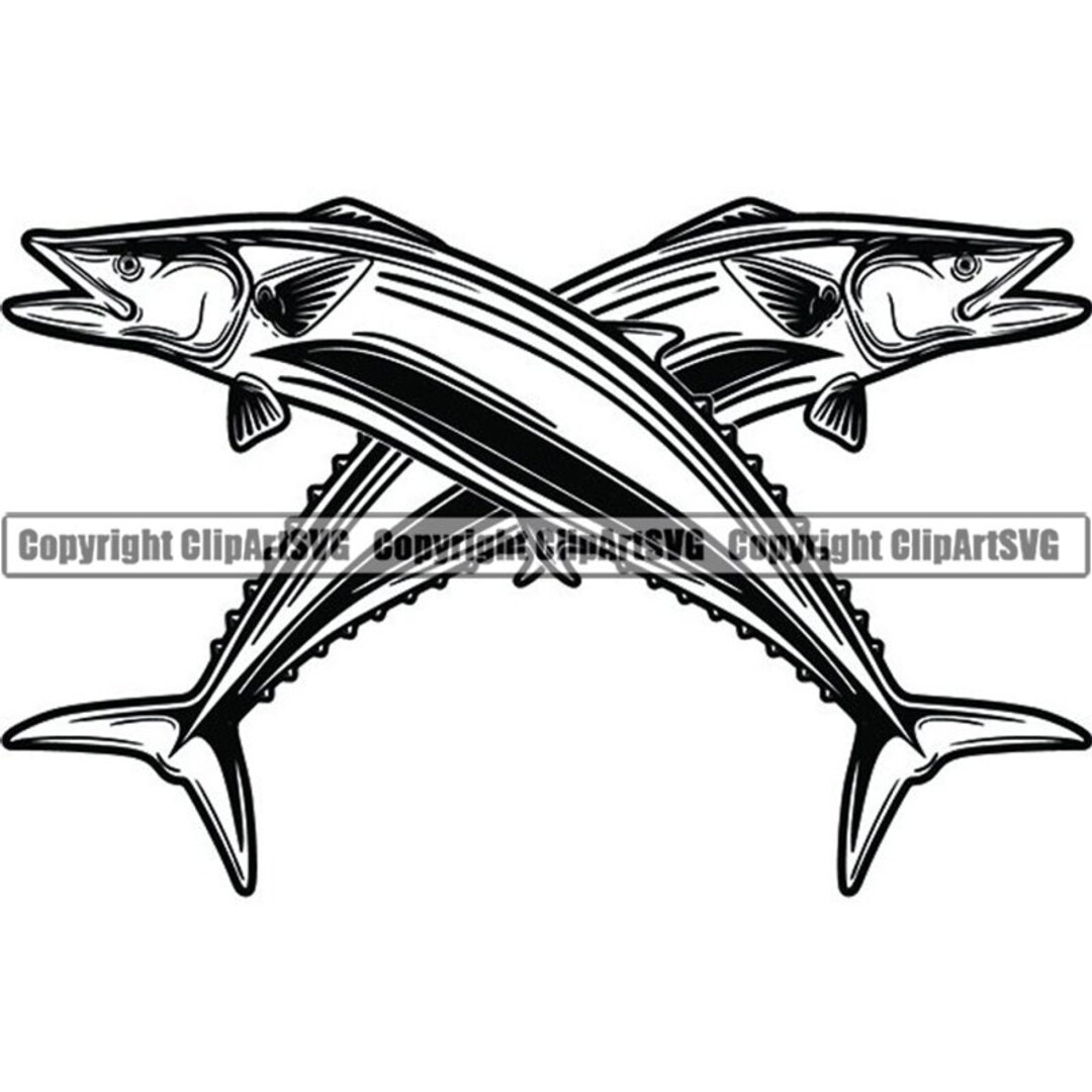 Kingfish Fish #2 Fishing Angling Fish Salt Water Ocean Sea Wild Animal ...