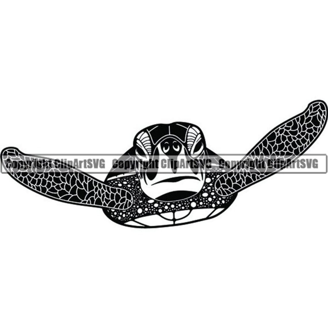 Turtle 6 Sea Ocean Reptile Baby Salt Water Animal Wildlife | Etsy