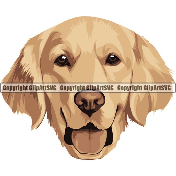 Golden Retriever Dog Breed Happy Face Head Puppy Animal Pet | Etsy
