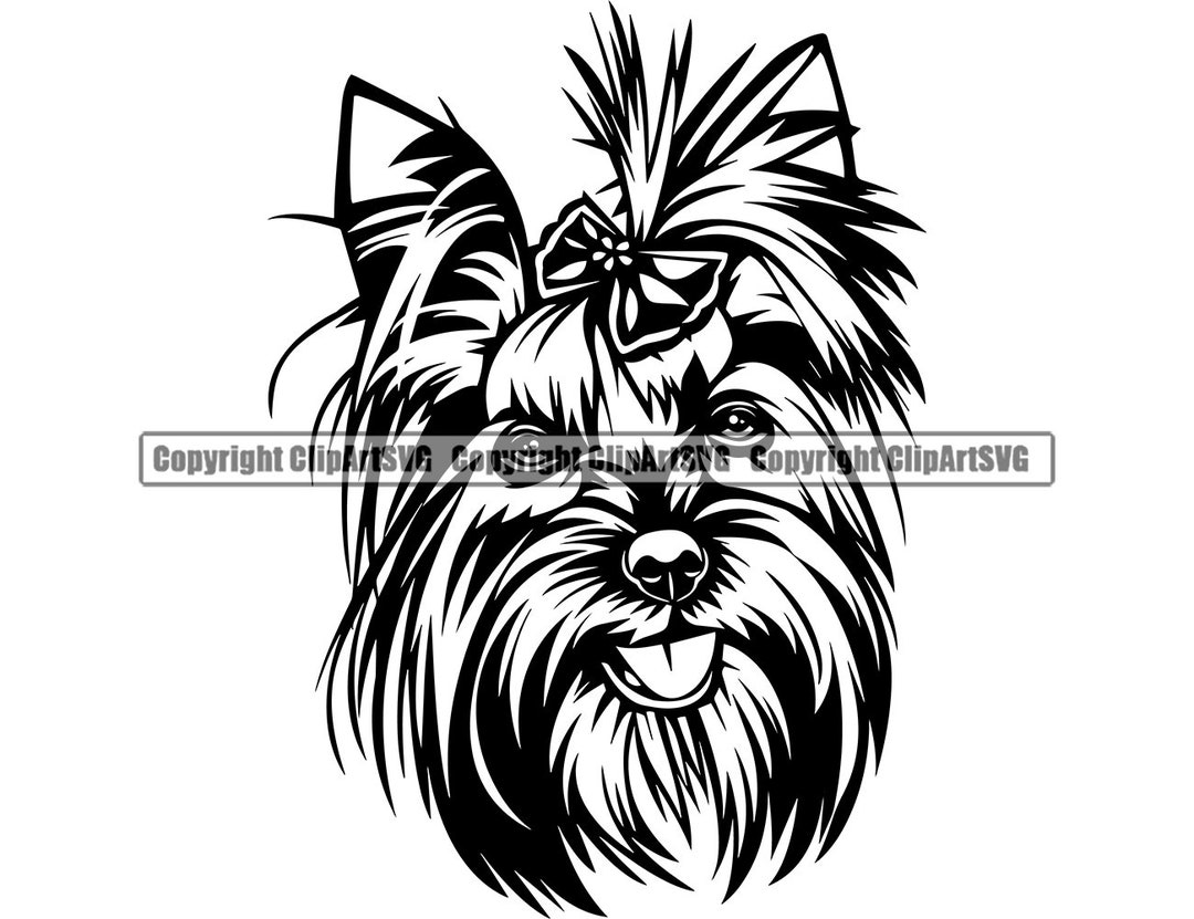 Yorkshire Terrier Dog Head Face Breed Puppy Pup Pet Purebred Pedigree ...