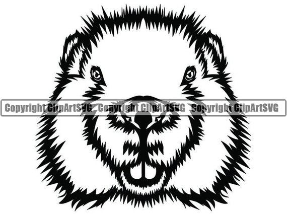 Beaver 2 Head Face Animal Angry Cartoon College High School | Etsy