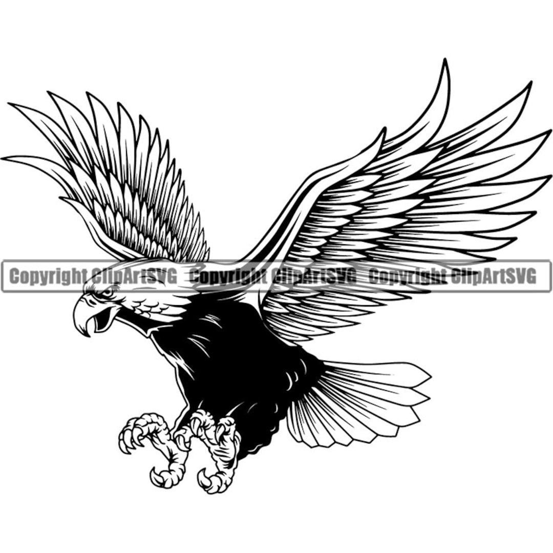 American Bald Eagle Bird Flying Claw Animal Government Law Lawyer ...
