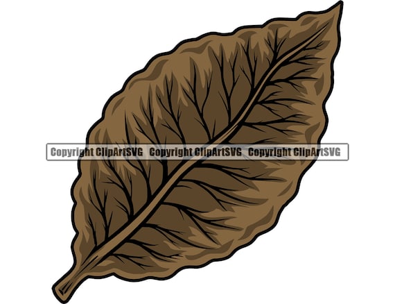 Tobacco Leaf Smoking Roll Make Cigar Smoker Smoke Label Lit | Etsy