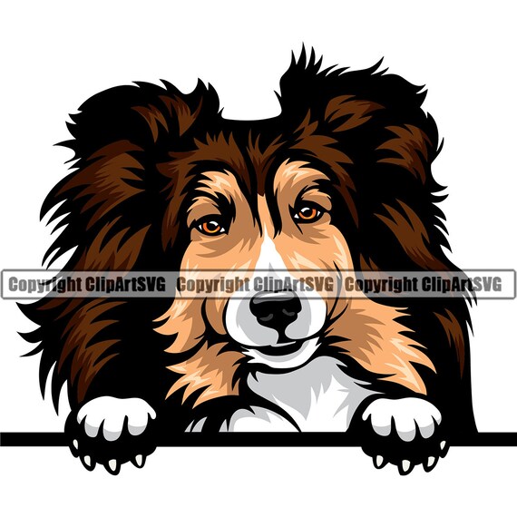 Shetland Sheepdog Dog Head Face Breed Happy Smile Paw Puppy - Etsy