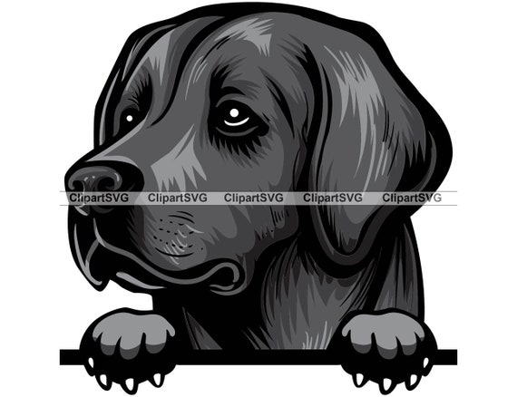 Black Lab Face Outline