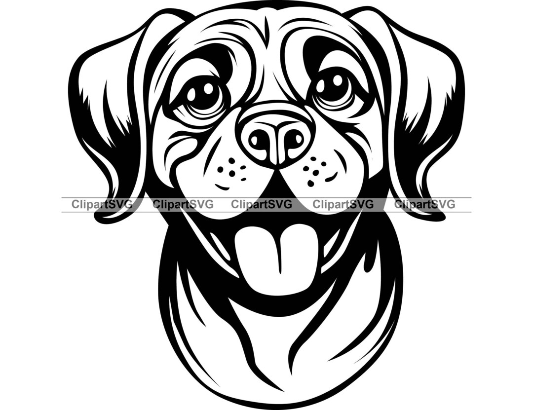 Puggle Smiling Dog Cute Puppy Face Canine Pet Pug Beagle Breed Purebred ...