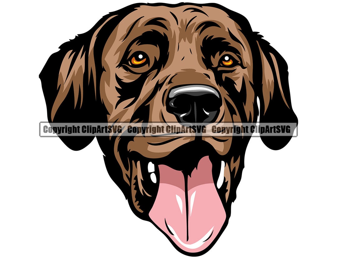 Labrador Retriever Dog Breed Happy Head Smiling Face Puppy Animal Pet ...