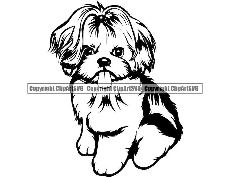 Shih Tzu Dog Sit Sitting Breed Happy Paw Puppy Pup Pet Art K-9 Maltese ...