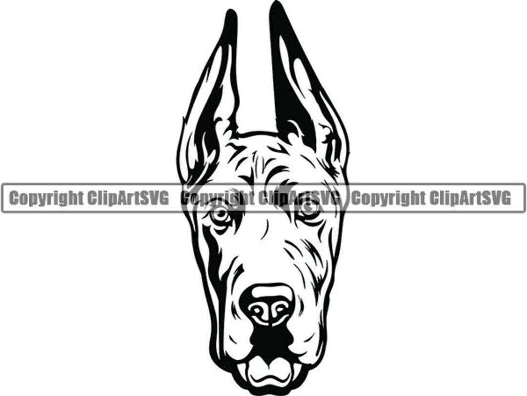 Great Dane 2 Smiling Big Dog Breed Pedigree Canine Purebred K-9 Pet ...