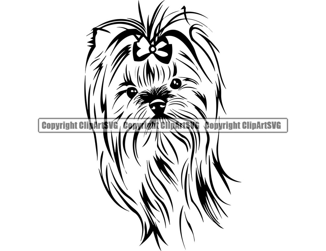 Yorkshire Terrier Dog Head Face Breed Puppy Pup Pet Purebred Pedigree ...