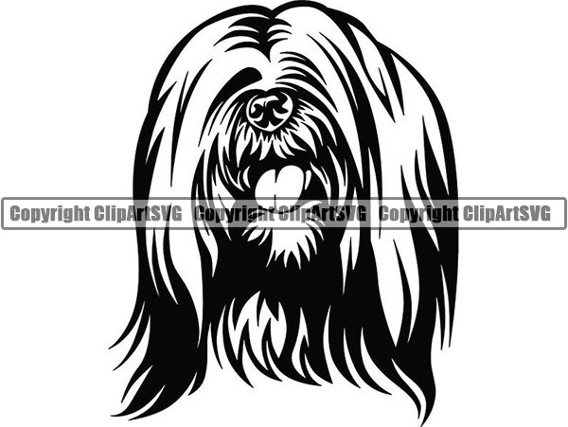 Lhasa Apso #6 Dog Smiling Happy Breed Puppy Pedigree Purebred Old ...