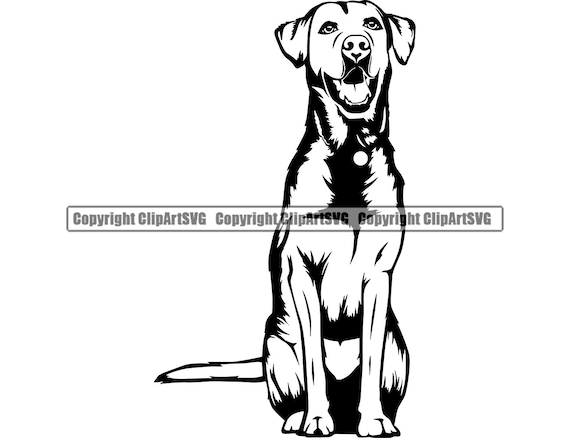 Labrador Dog Sit Sitting Breed Happy Puppy Pup Pet Purebred | Etsy