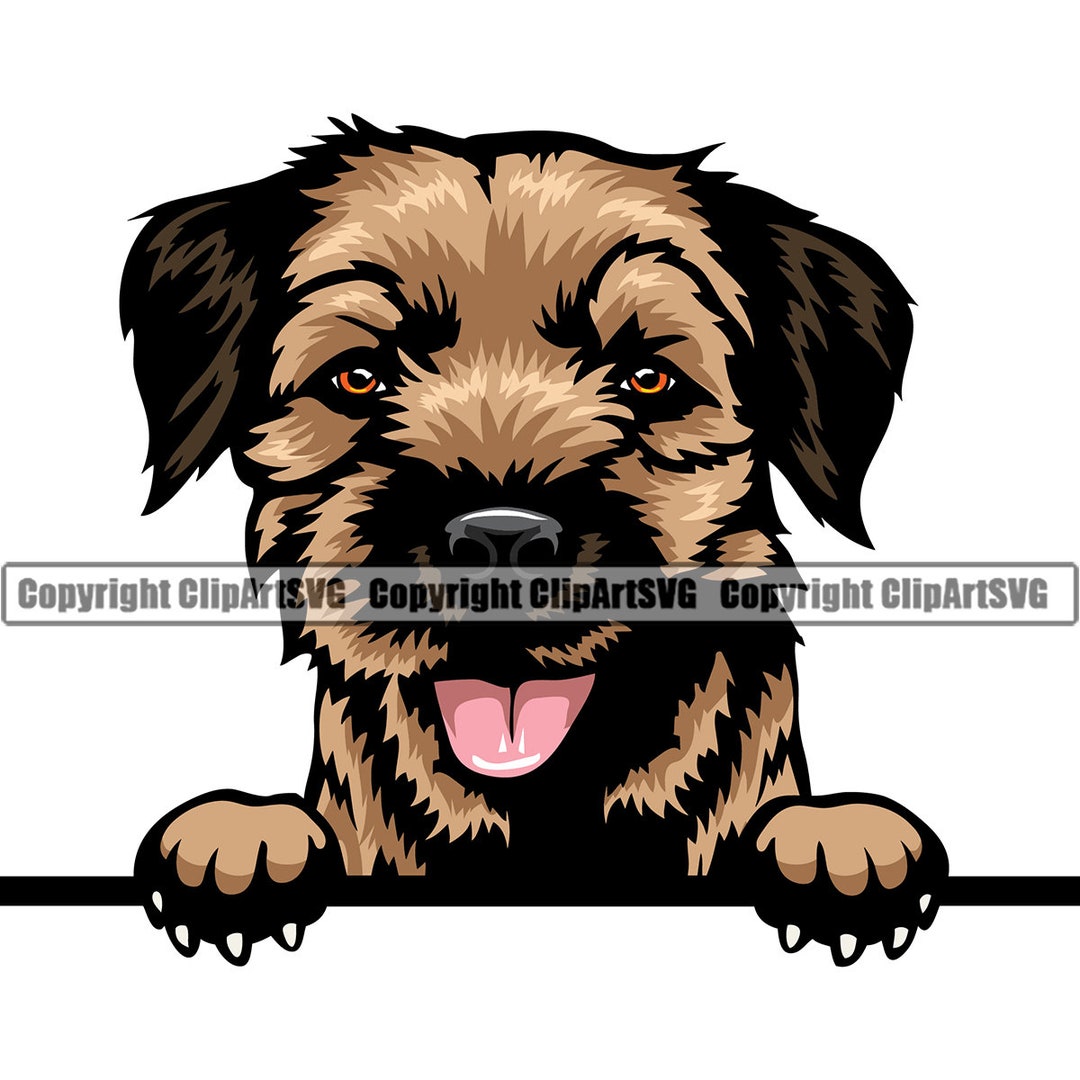 Border Terrier Dog Breed Peeking Peek-a-boo Puppy Smile Animal Pet ...