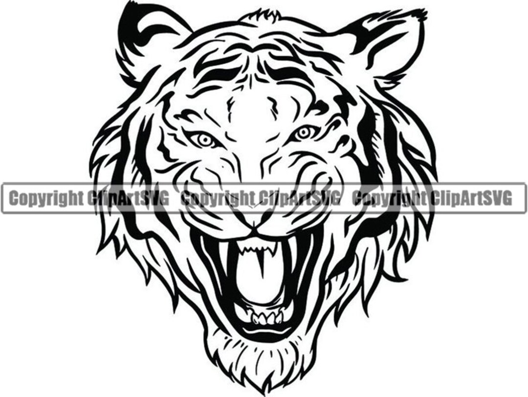 White Tiger Face Growling