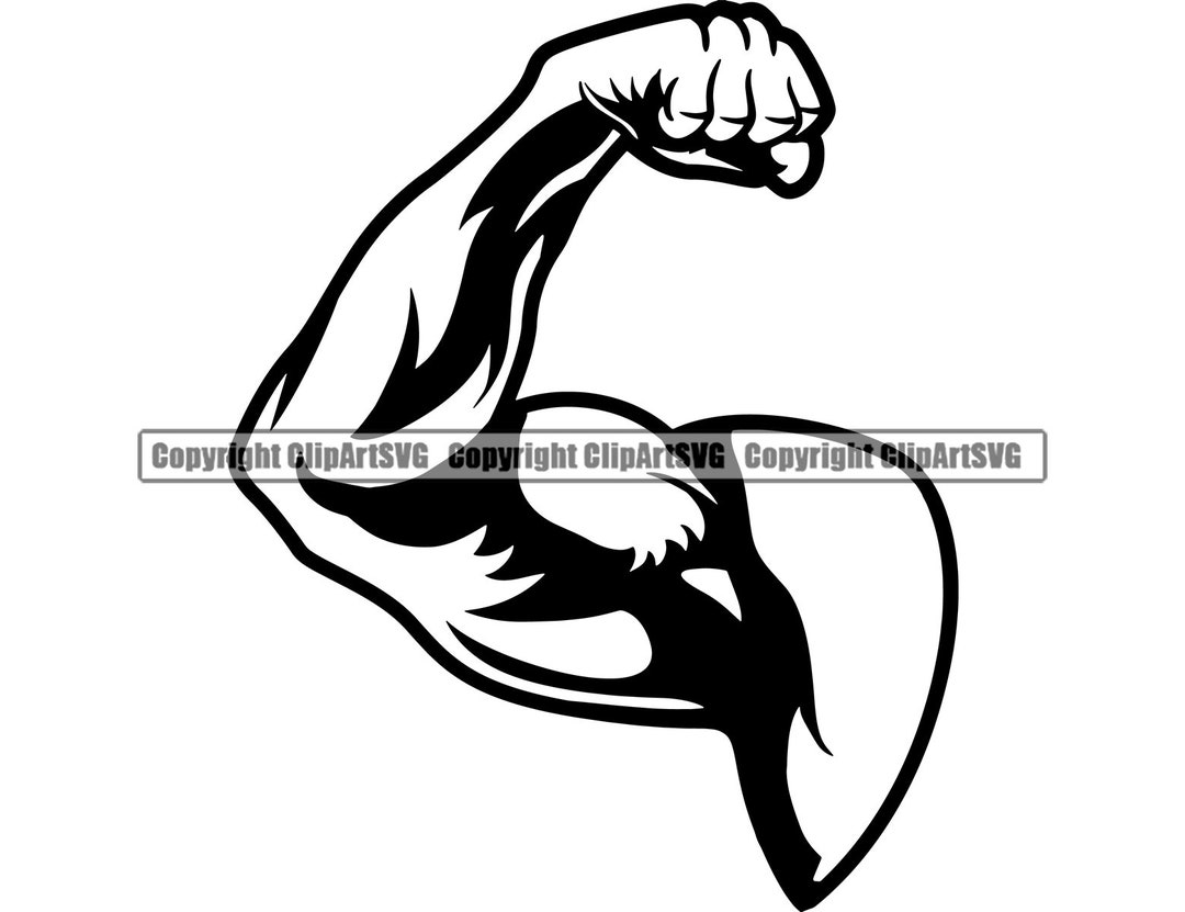 Bicep Muscles Fit Weightlifting Bodybuilding Fitness Workout Gym ...