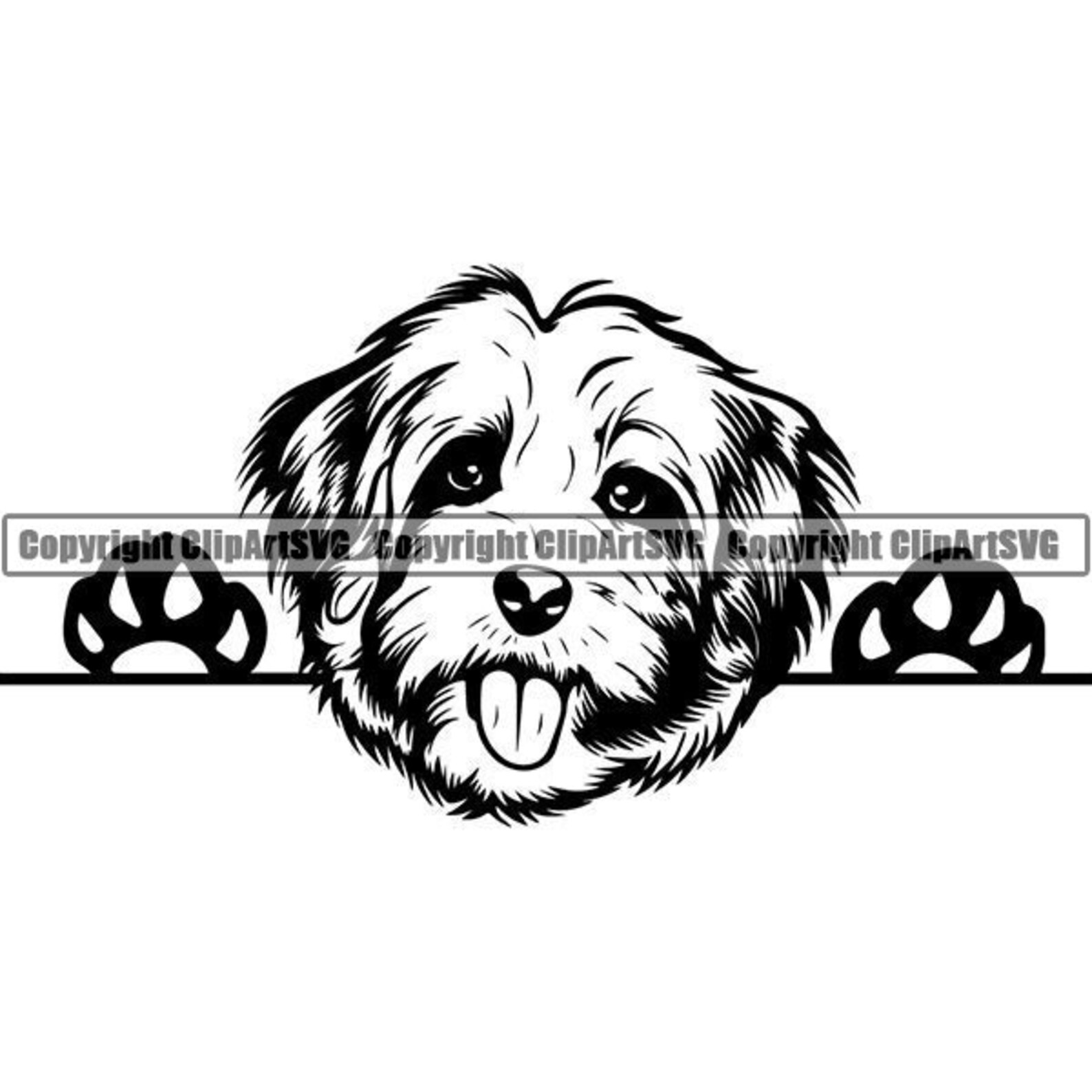 Havanese #4 Peeking Paws Dog Breed Pedigree Canine Purebred K-9 Pet ...