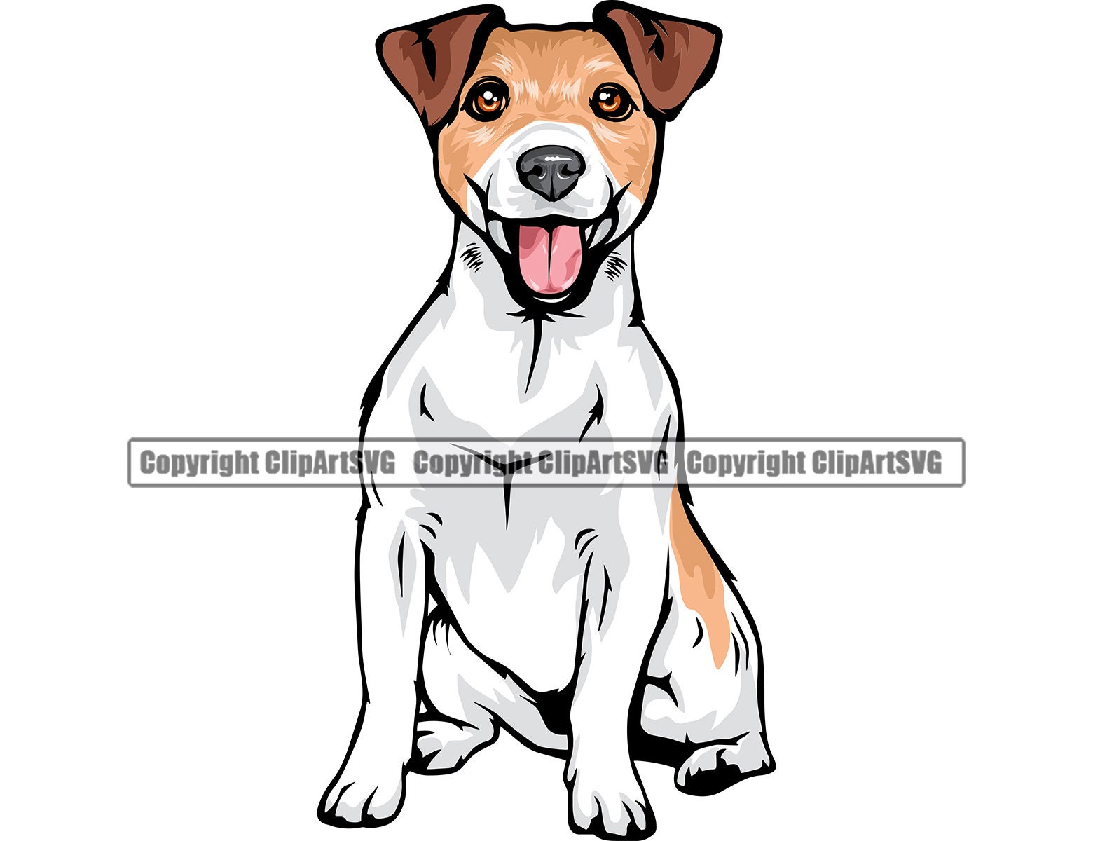 Toy Fox Terrier Jack Russell Mix