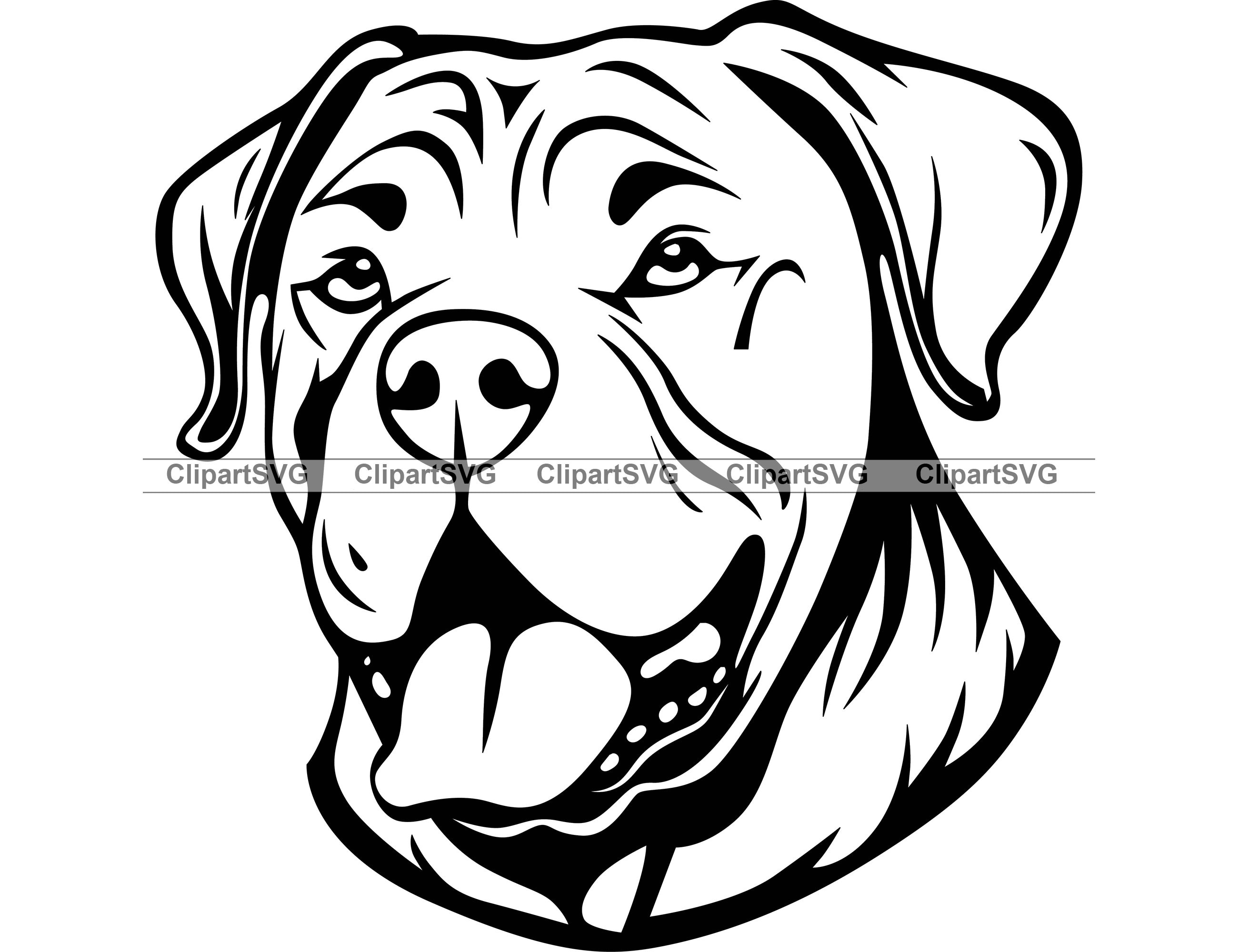 Cane Corso Smiling Dog Cute Puppy Face Canine Animal Breed Pet - Etsy