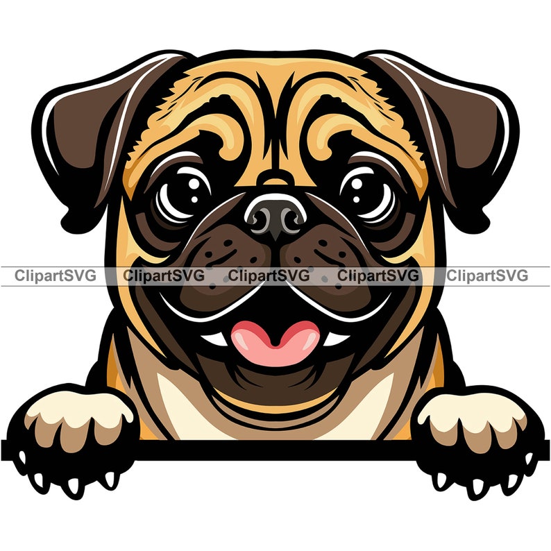 Pug Smiling Peeking Dog Cute Puppy Happy Head Canine Pet Love Breed ...