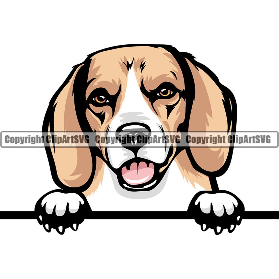 Beagle Dog Peeking Peek-a-boo Breed Puppy Pup Animal Pet Pedigree ...
