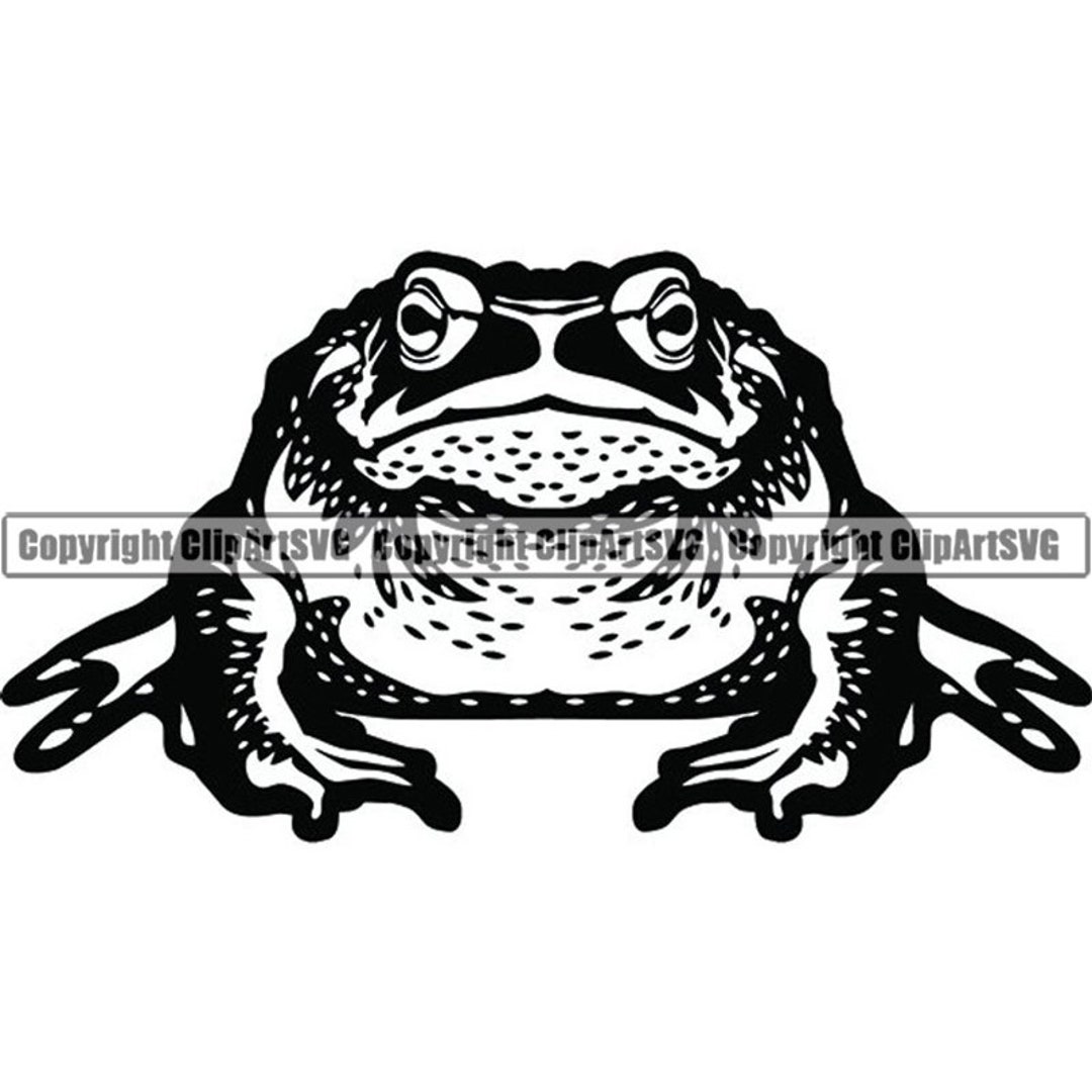 Frog #3 Pet Animal Nature Wild Wildlife Amphibian Tropical Toad Exotic ...
