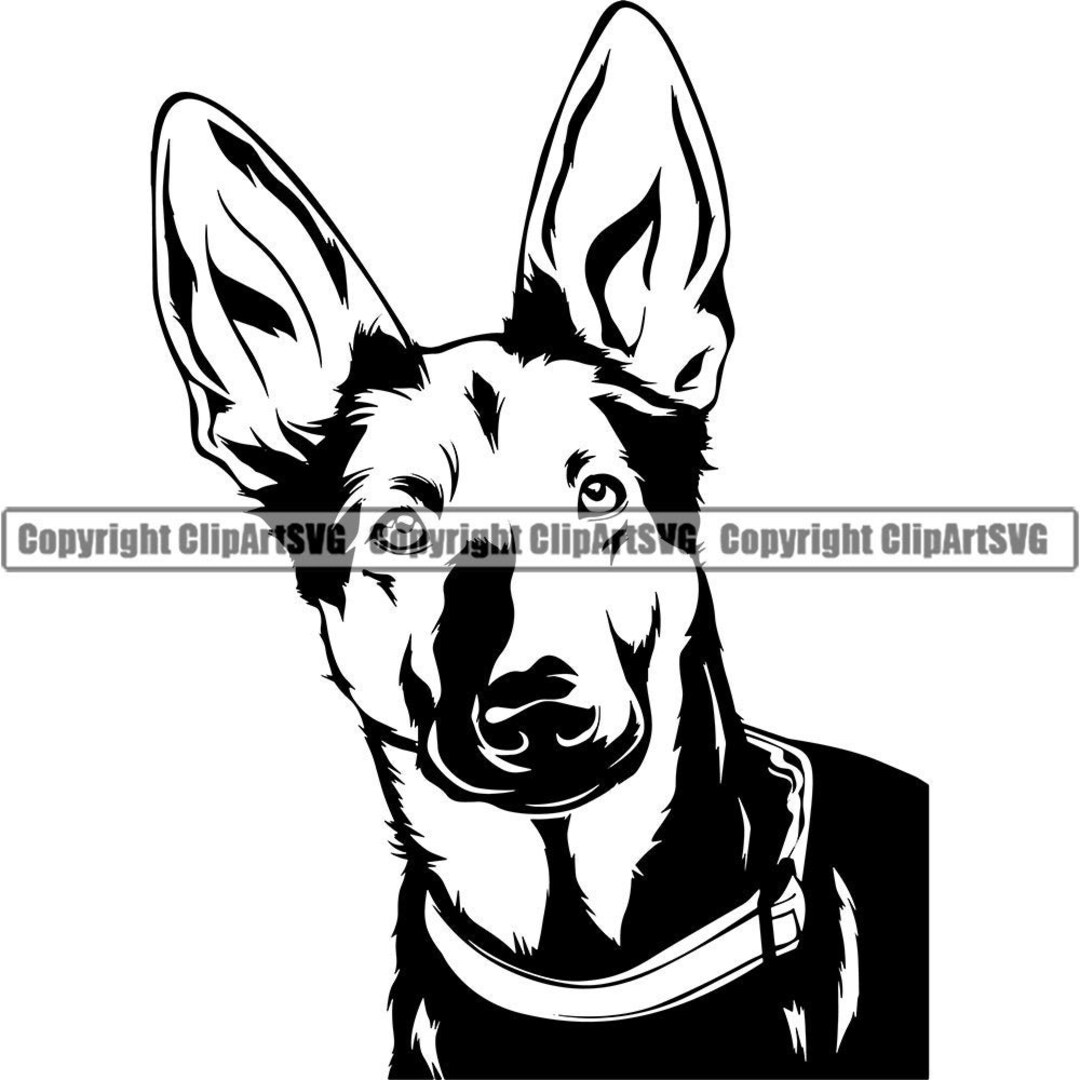 German Shepherd Dog Breed Head Smiling Face Happy Paw Puppy Pup Pet ...