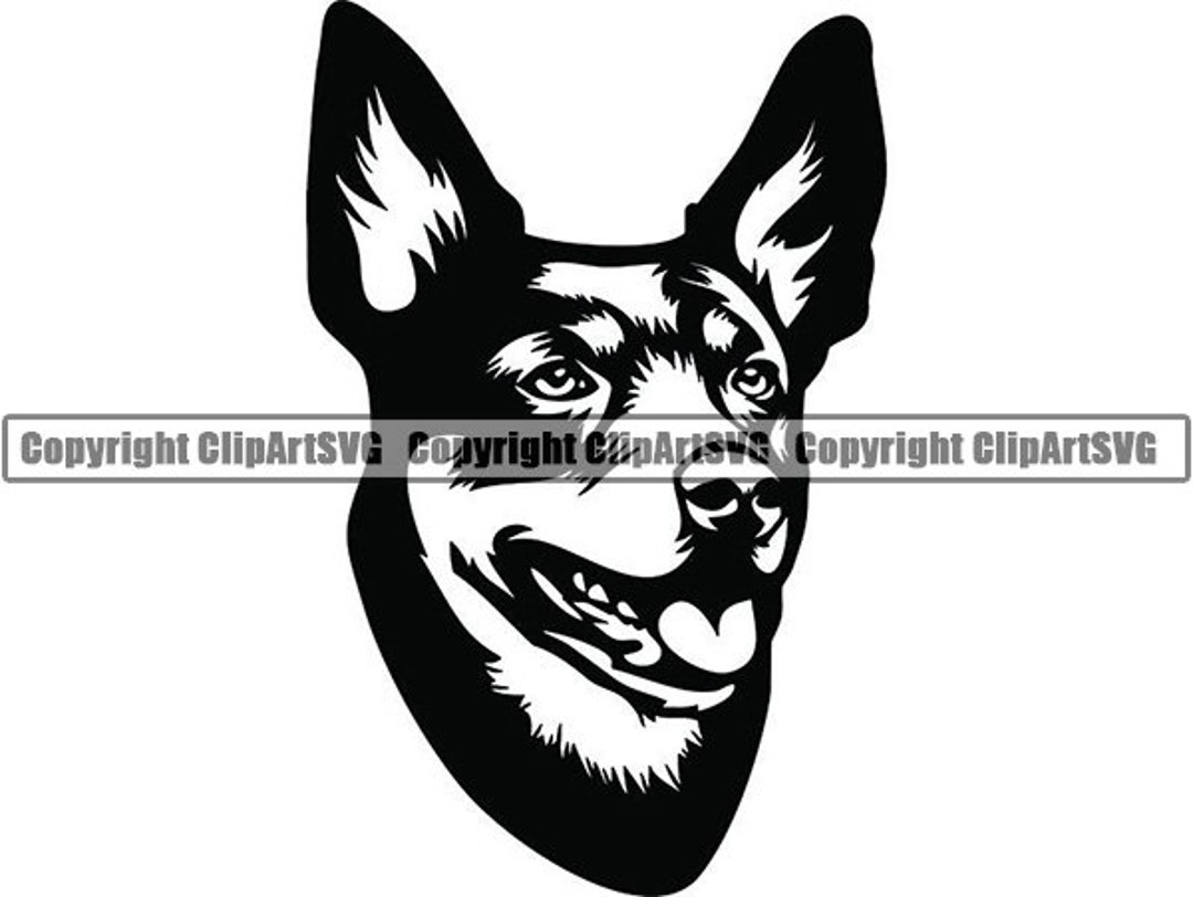 Australian Kelpie #12 Happy Dog Smiling Puppy Paws Pedigree Bloodline ...