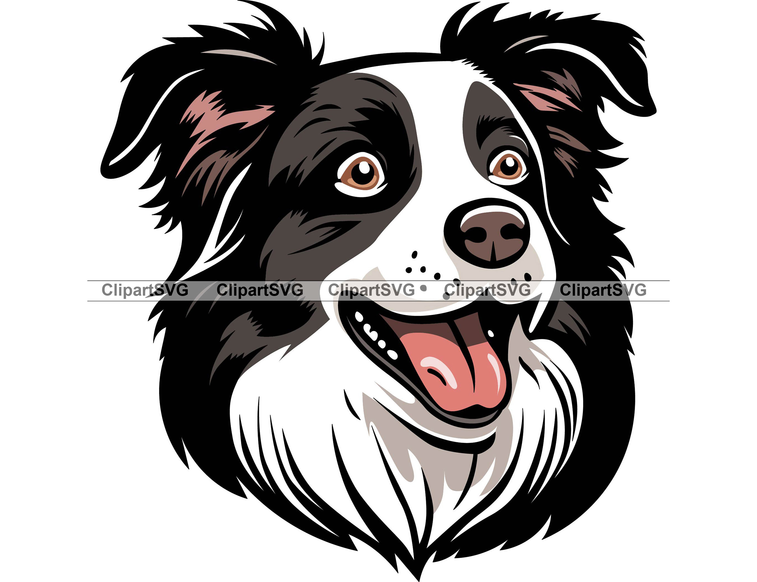 Border Collie Smiling Dog Cute Puppy Face Canine Breed Animal - Etsy
