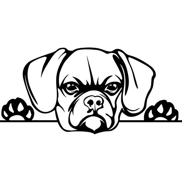 Puggle 1 Peeking Smiling Dog Breed K-9 Animal Pet Puppy Paws | Etsy
