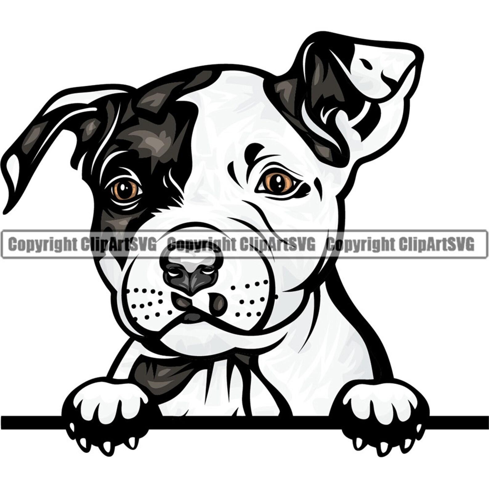 Pit Bull Dog Peeking Peek-a-boo Breed Happy Face Puppy Animal Pet Color ...