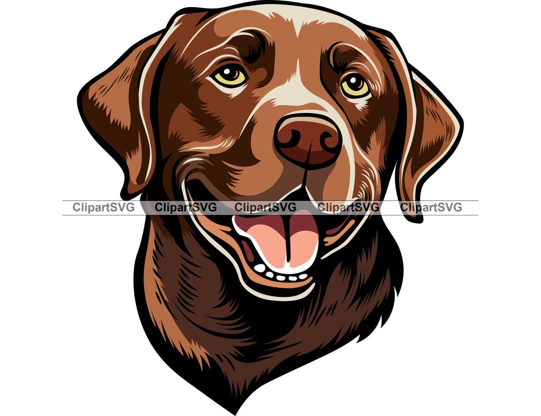 Chesapeake Bay Retriever Smiling Dog Puppy Face Canine Animal Pet ...