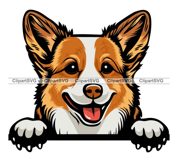 Growling Corgi