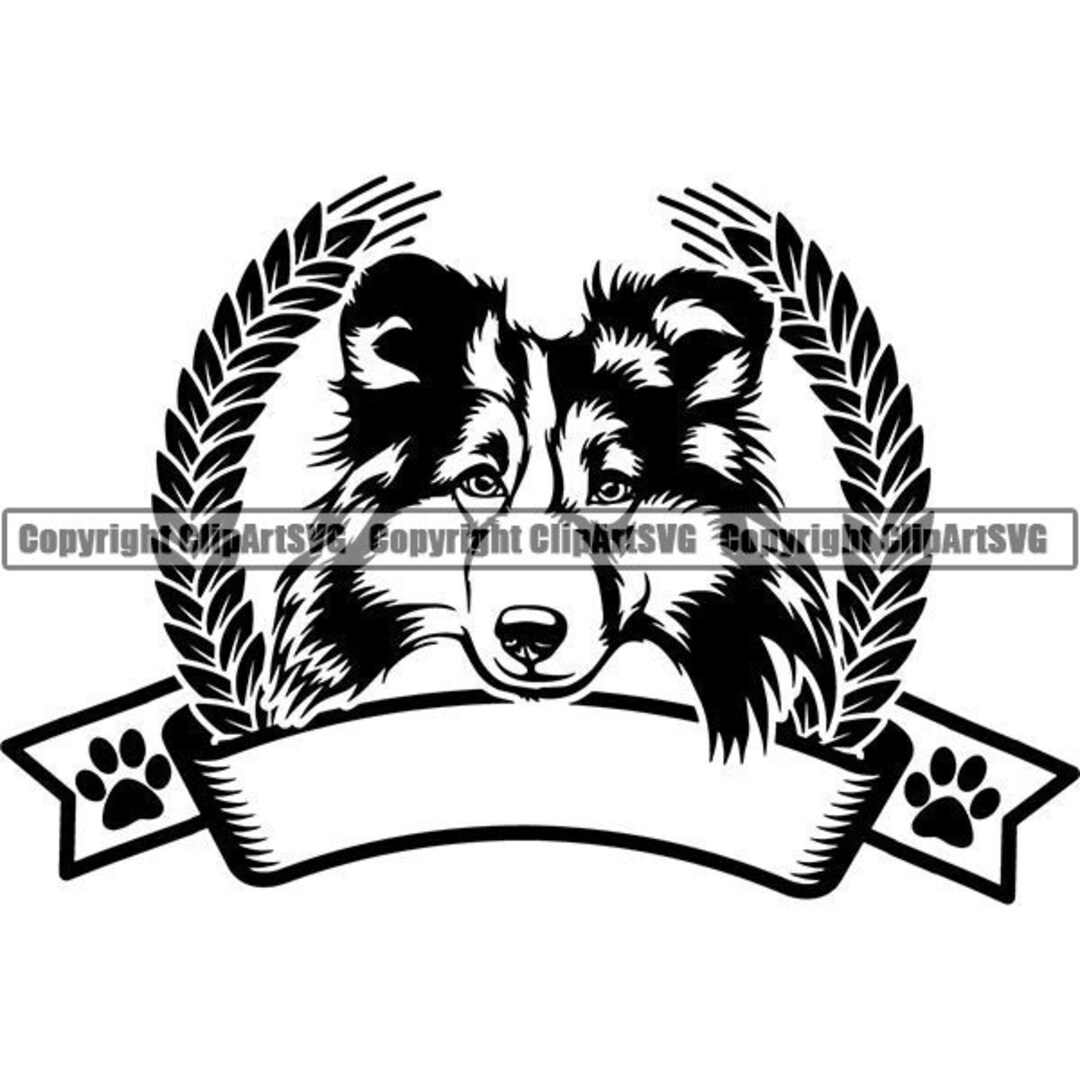 Shetland Sheepdog 38 Sheltie Puppy Dog Breed Pedigree K-9 Animal Pet ...