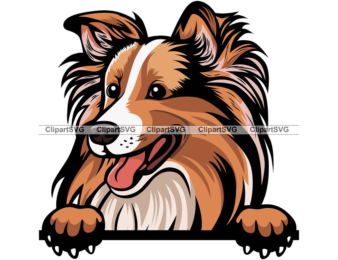 Shetland Sheepdog Smiling Peeking Dog Cute Sheltie Puppy Head - Etsy