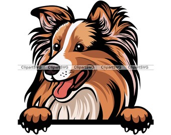 Sheltie Dog Head Svg - Etsy