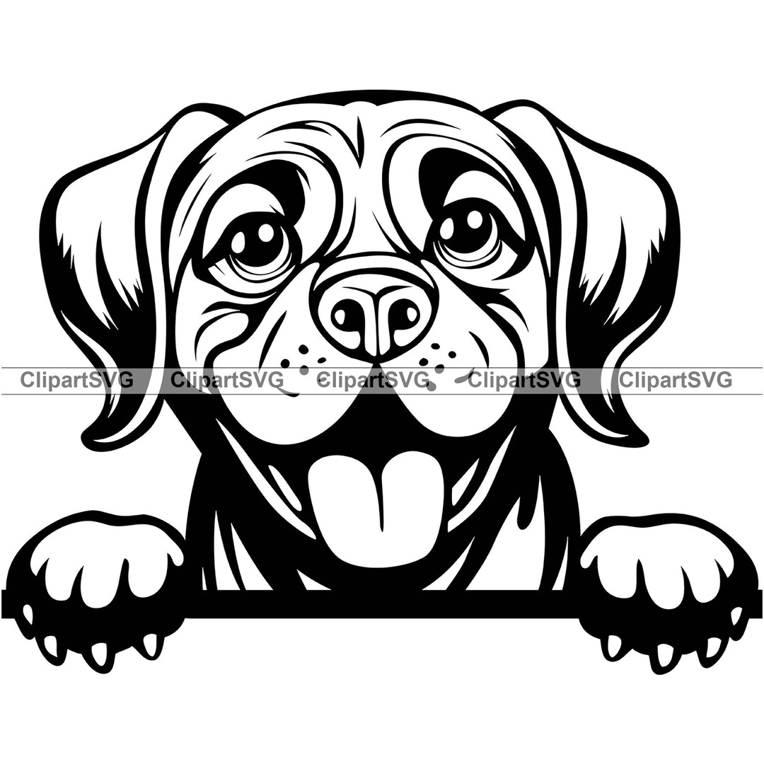Puggle Smiling Peeking Dog Cute Puppy Face Canine Pet Pug Beagle Breed ...